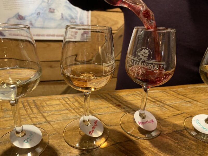 Washington, DC: Virginia Wine Region Experience Tour - The Sum Up