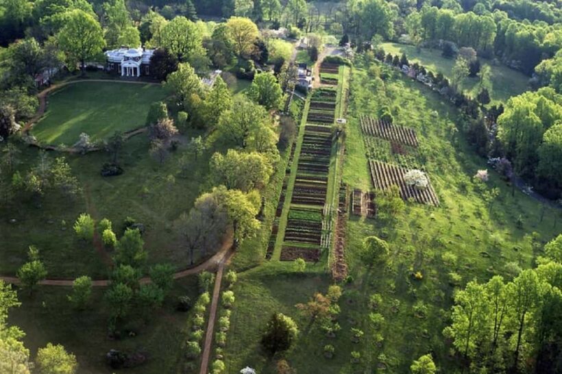 Washington DC:Small Group Thomas Jefferson Monticello Tour - Who Will Love This Tour?
