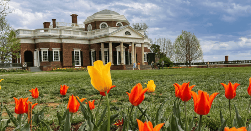 Washington DC:Small Group Thomas Jefferson Monticello Tour - Who Will Love This Tour?