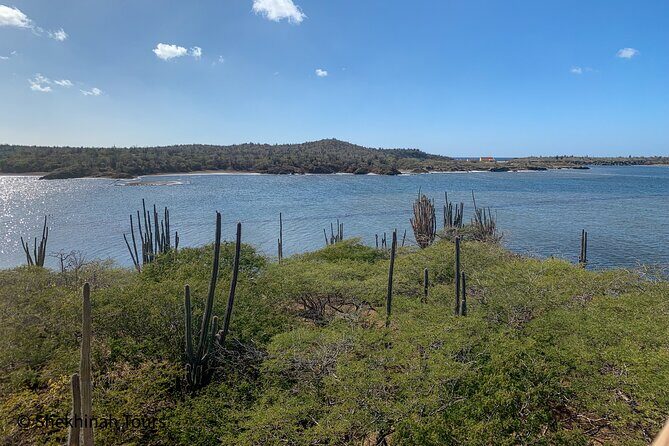 Washington Park Tour with Local Guide on Bonaire - The Sum Up