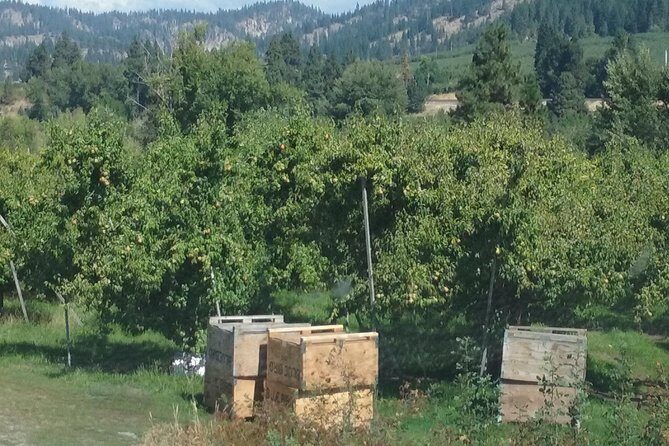 WASHINGTON ST AGRICULTURE, Apples & Irrigation - An In-Depth Look at the Washington Agriculture, Apples & Irrigation Tour