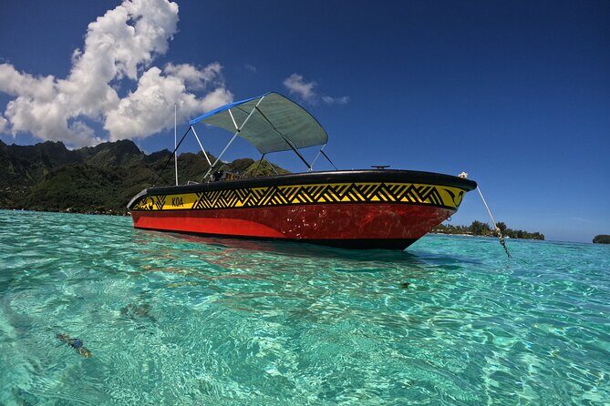 Watch and Swim with Humpback Whales in Moorea - Frequently Asked Questions