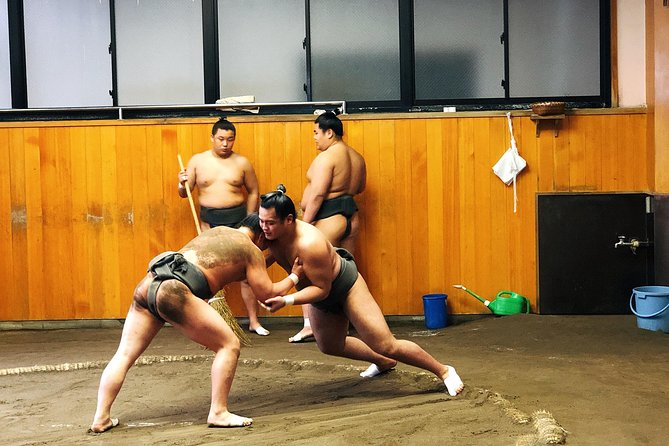 Watch Sumo Morning Practice at Stable in Tokyo - Preparing for the Sumo Observation Tour