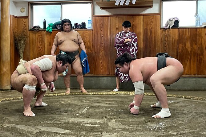 Watch the Real Sumo Morning Practice Tour at Yokozuna Stable - Tips for Participants