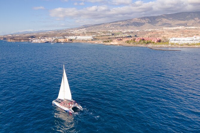 Watching and Listening Whales Visiting Los Gigantes&Masca. Food&Drinks Included - Customer Feedback