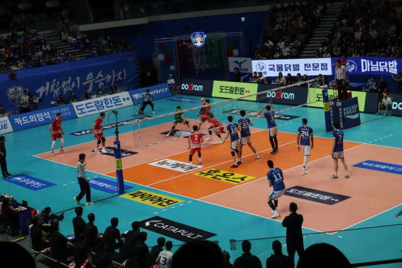 Watching sports match & local food experience in Seoul - Practical Details & Tips