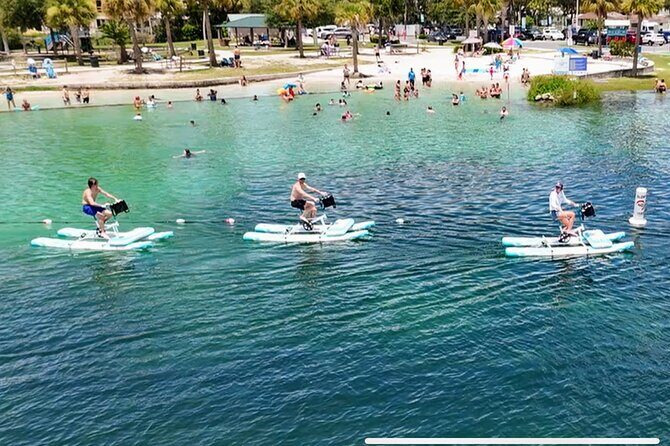 Water Bike Rental in Crystal River - The Experience Itself: Paddling and Wildlife Viewing