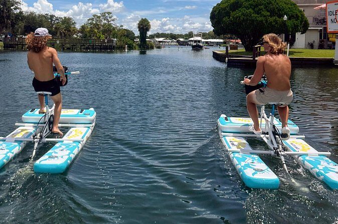 Water Bike Rental in Crystal River - How It Compares to Other Activities in Crystal River