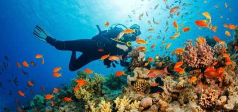 water sports experience in bali - Authentic Experiences and Traveler Feedback