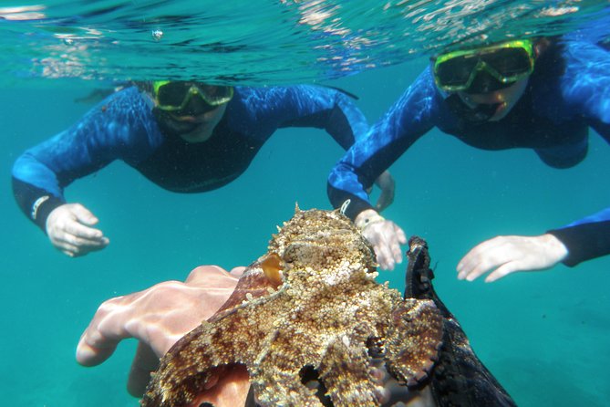 Water Taxi Lobos Island - Highlights of the Journey to Lobos Island