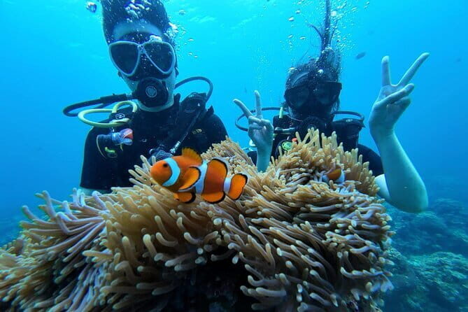 WaterColors Discover Scuba in Boracay (Shore Dive Only) - Who Should Consider This Tour?