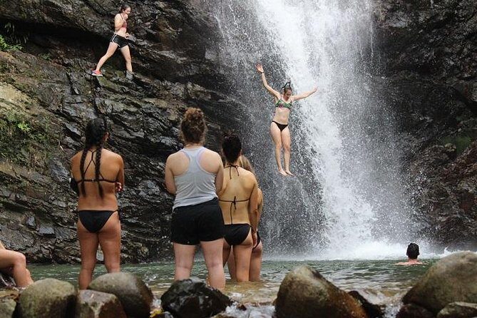 Waterfall and Fijian Village Tour with Light Lunch ex Nadi Area Hotels - Key Points