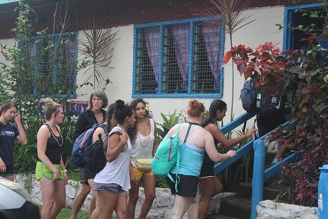 Waterfall and Fijian Village Tour with Light Lunch ex Nadi Area Hotels - An In-Depth Look at the Tour Experience
