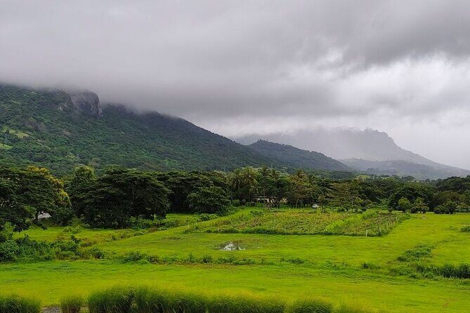 Waterfall and Fijian Village Tour with Light Lunch ex Nadi Area Hotels - FAQ