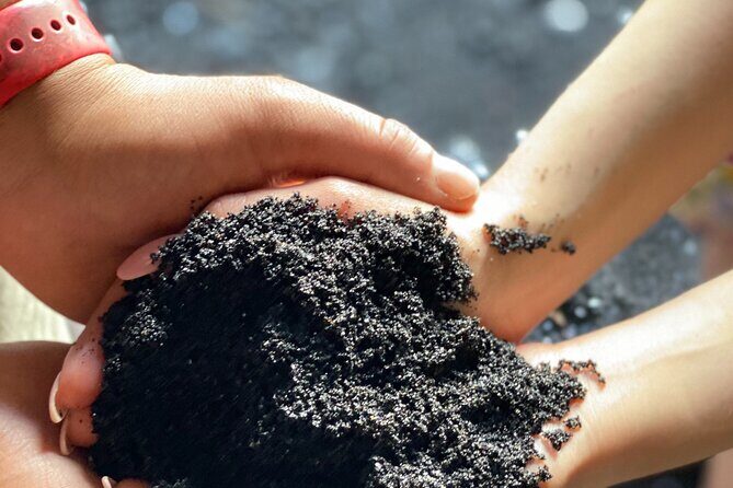 Waterfall and Rainforest Adventure - The Sum Up