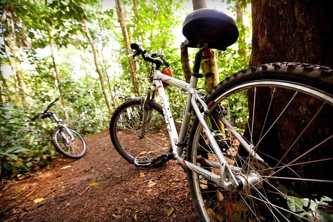 Waterfall Cycling Adventure In St. Lucia - Final Thoughts: Is It Worth It?