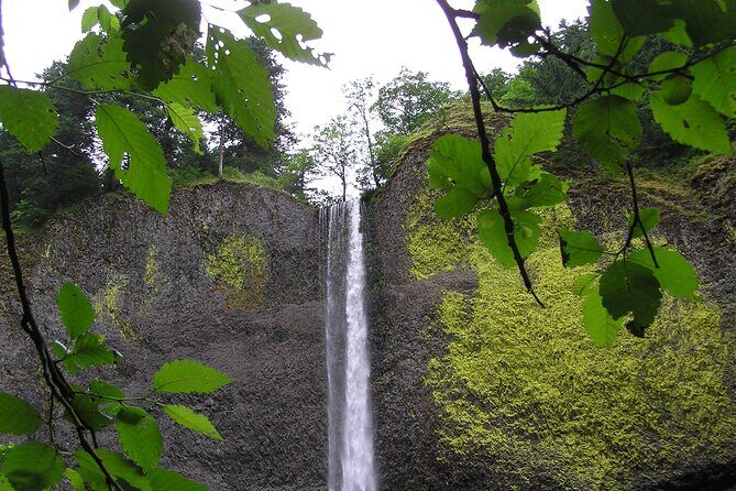 Waterfall Express Tour -Transportation to Waterfall Trolley PDX07 - Who Should Consider This Tour?