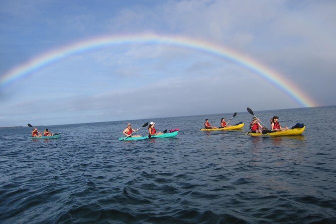 Waterfall Hike and Kayak Snorkel & Paddle from Makena - Value and Practicalities