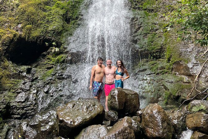 Waterfall Hike in Hawaii - Private Transportation/Group - An In-Depth Look at the Waterfall Hike Experience