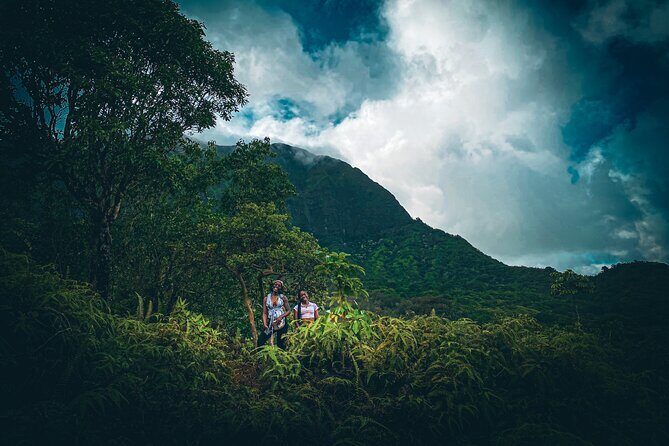 Waterfall Hike in Hawai'i Rainforest Trail - Key Points