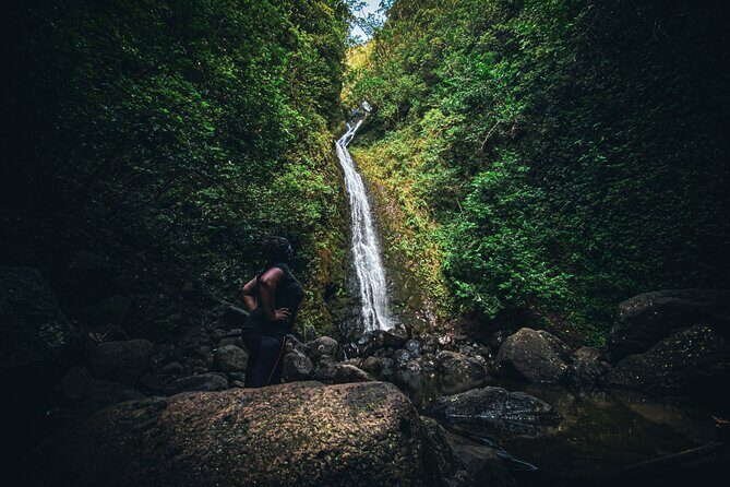 Waterfall Hike in Hawai'i Rainforest Trail - A Deep Dive into the Itinerary