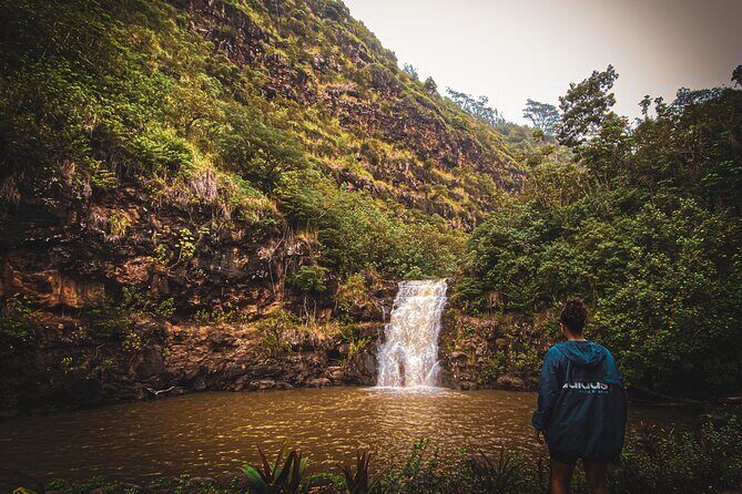Waterfall Hike in Hawai'i Rainforest Trail - Who Should Consider This Tour?