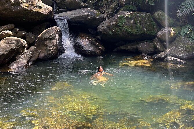 Waterfall Hike in Remote Area of El Yunque Rainforest; San Juan - Key Points