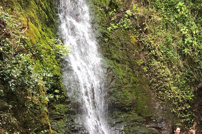 Waterfall Hike , Sightseeing & East Side Beach Day - Exploring the Waterfall Hike, Sightseeing & East Side Beach Day Tour in Honolulu