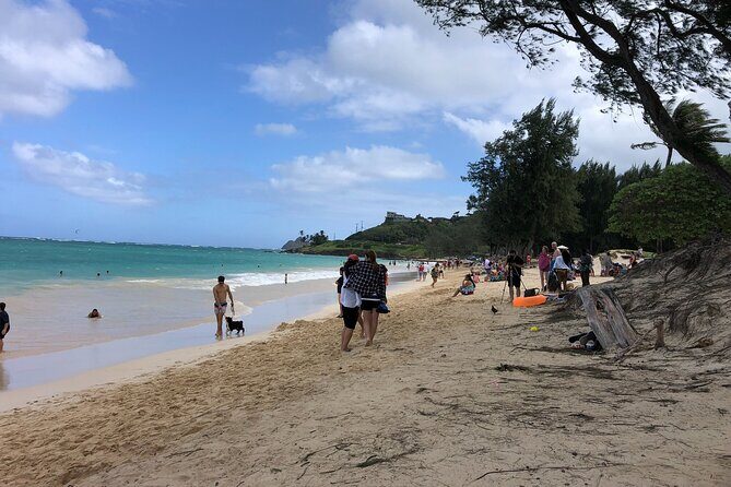 Waterfall Hike , Sightseeing & East Side Beach Day - Practical Details and Tips