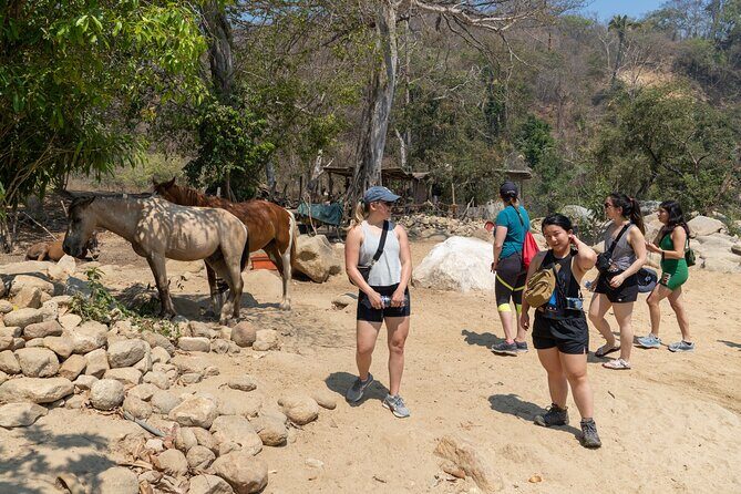 Waterfall in the jungle of Puerto Vallarta - FAQ