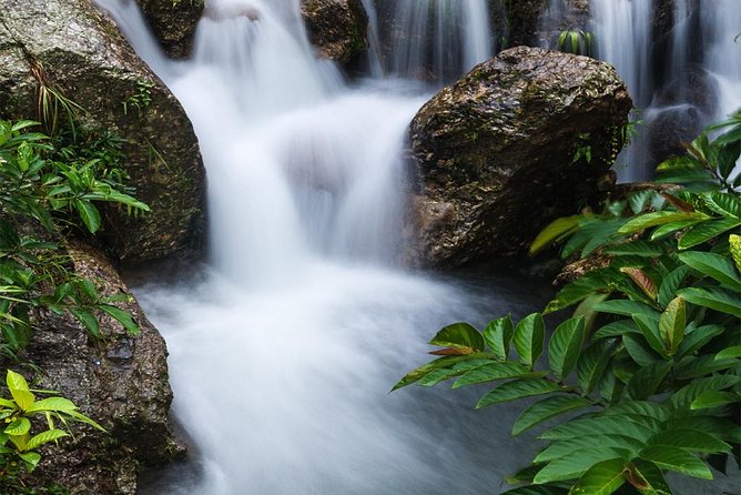 Waterfall, Rainforest, Chocolate Tour, Historical Sites, Private - Exploring the Lush Rainforest