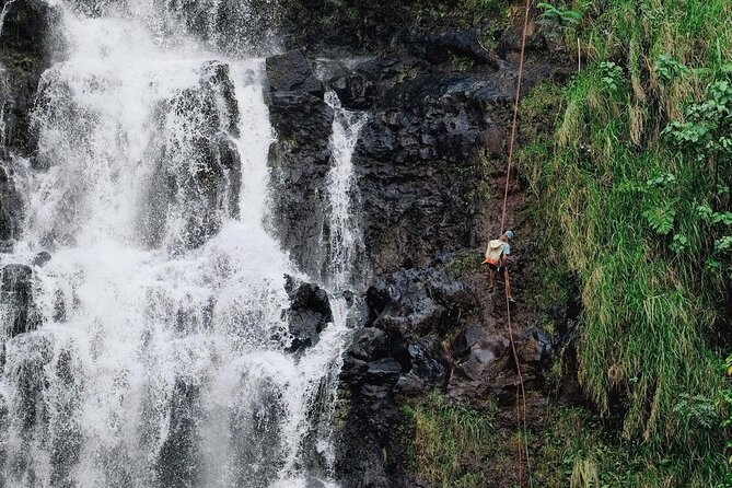 Waterfall Rappelling at Kulaniapia Falls: 120 Foot Drop, 15 Minutes From Hilo - Meeting Point and Logistics