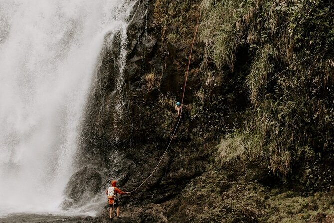 Waterfall Rappelling at Kulaniapia Falls: 120 Foot Drop, 15 Minutes From Hilo - What to Expect During Your Adventure