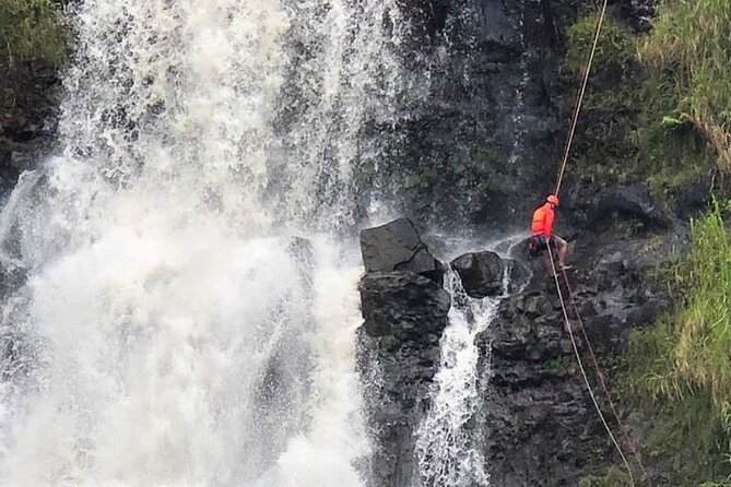 Waterfall Rappelling at Kulaniapia Falls: 120 Foot Drop, 15 Minutes From Hilo - Tips for a Successful Rappel