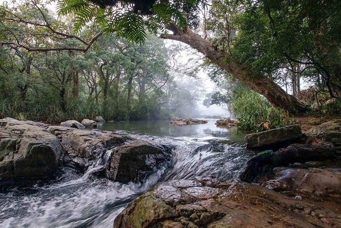 Waterfall Trekking in Knuckles Mountain Range - An Overview of the Trek