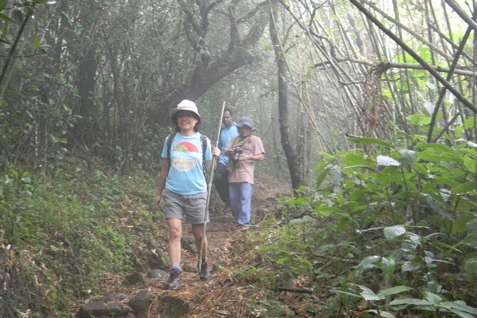 Waterfall Trekking in Knuckles Mountain Range - The Itinerary: Step-by-Step