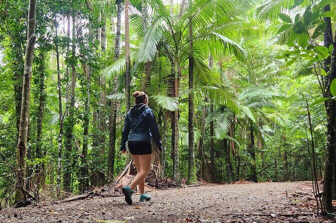Waterfalls and Bushwalk Eco Adventure - Summary: Who Should Consider This Tour?