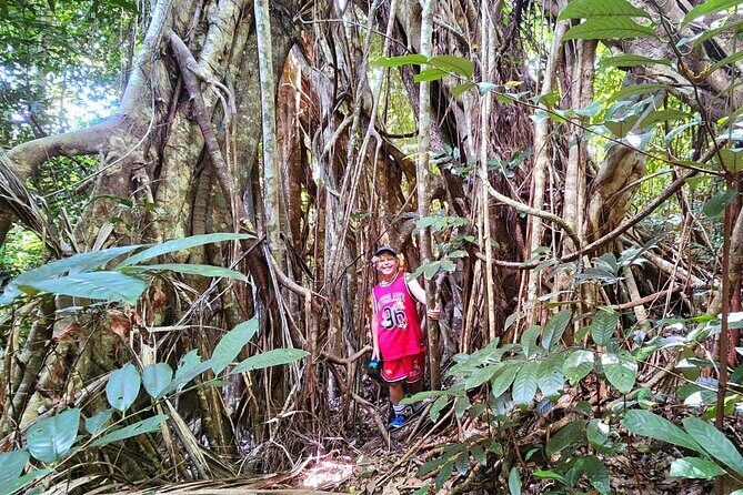 Waterfalls and Bushwalk Eco Adventure - Final Thoughts
