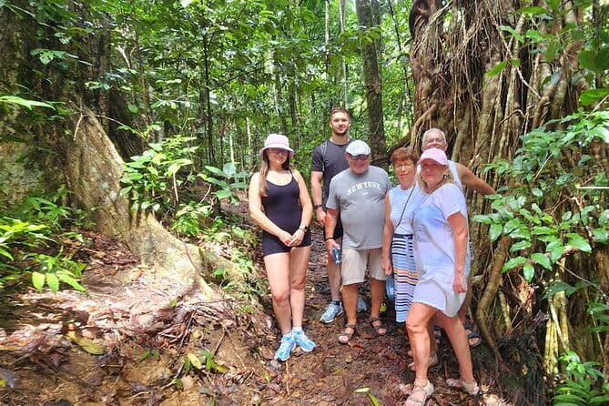 Waterfalls and Bushwalk Eco Adventure - Authentic Experiences and Personal Touches