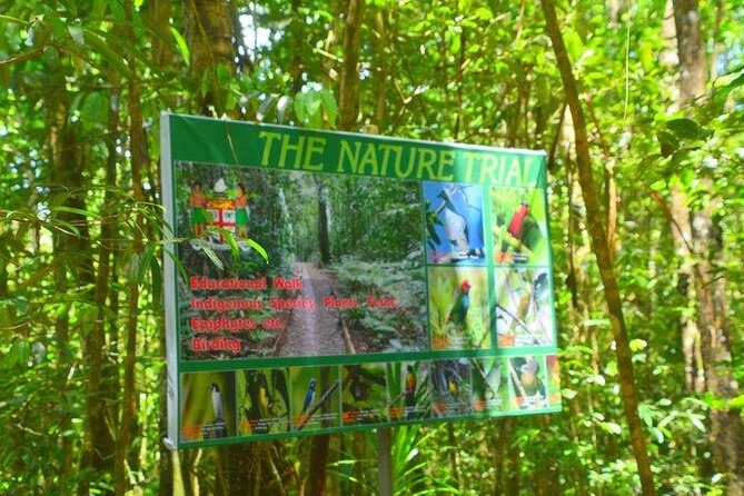 Waterfalls and Nature Tour - Unpacking the Waterfalls and Nature Tour: What to Expect