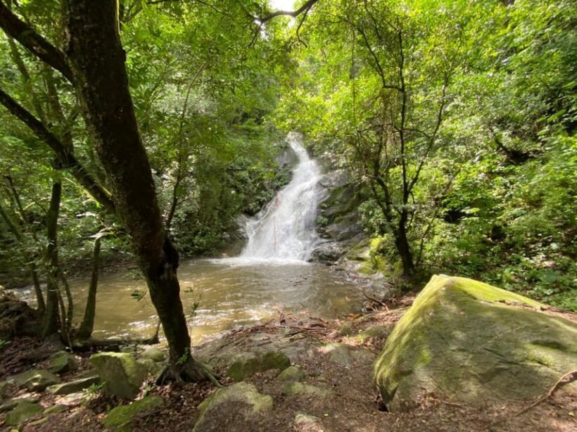 Waterfalls, Animal Reserve and Chocolate: Mango Passage - Cocoa and Chocolate Experience