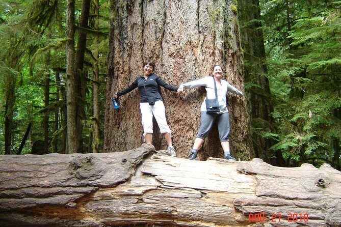 Waterfalls, Coombs and Cathedral Grove Rainforest Tour - Waterfalls, Coombs and Cathedral Grove Rainforest Tour Review