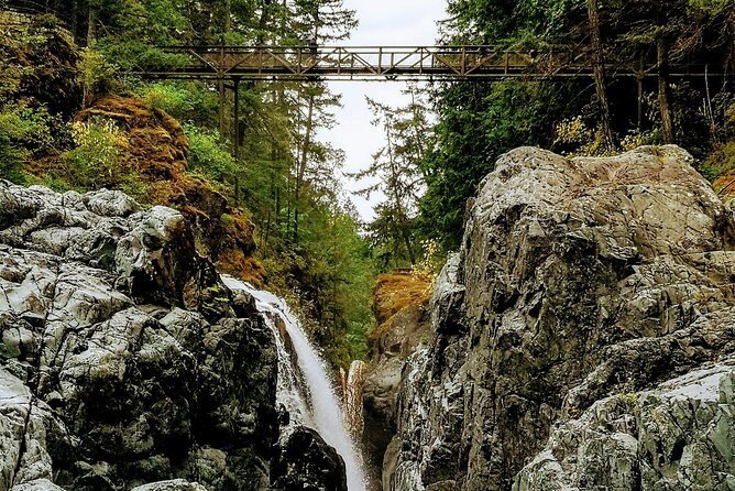 Waterfalls, Coombs and Cathedral Grove Rainforest Tour - The Experience in Numbers: Transport, Timing, and Value