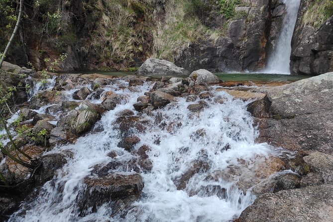 Waterfalls, Heritage and Nature in Gerês Park - From Porto - Savoring the Local Cuisine