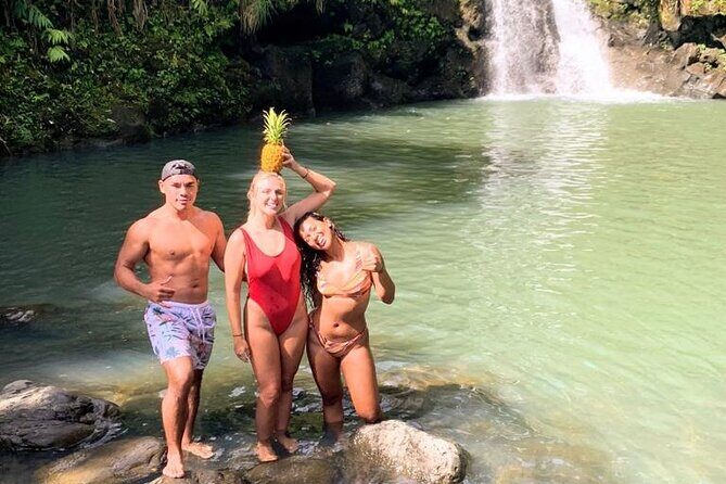 Waterfalls, Hike & Rivers Tour from Kahului - An In-Depth Look at the Waterfalls, Hike & Rivers Tour