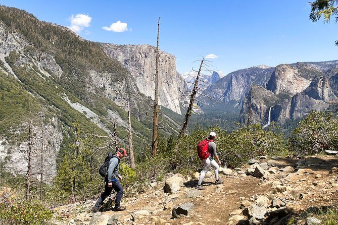 Waterfalls of Yosemite - Customizable Private Tour - The Sum Up: Who Should Consider This Tour?