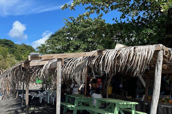 Waterfalls, Sulphur Spa and Black Sand Beach Tour from Dominica - An In-Depth Look at the Tour Experience