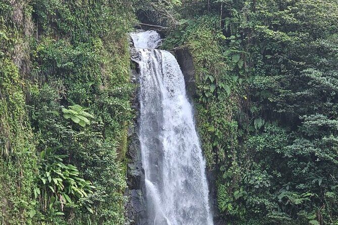 Waterfalls, Sulphur Spa and Black Sand Beach Tour from Dominica - Value for Money