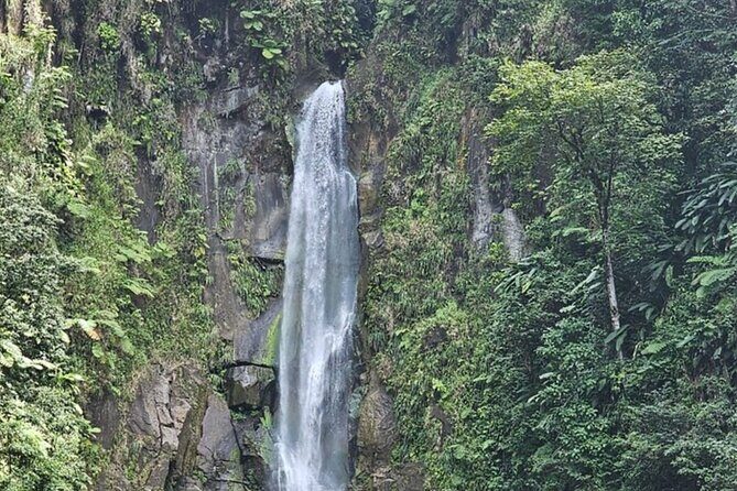 Waterfalls, Sulphur Spa and Black Sand Beach Tour from Dominica - FAQs