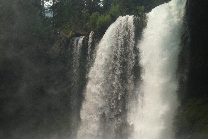 Waterfalls & the McKenzie River in a Tesla - Exploring Oregon’s Waterfalls & McKenzie River in a Tesla: An Authentic Nature Escape
